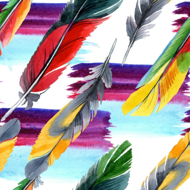 Quelle est la signification des couleurs des plumes en ésotérisme